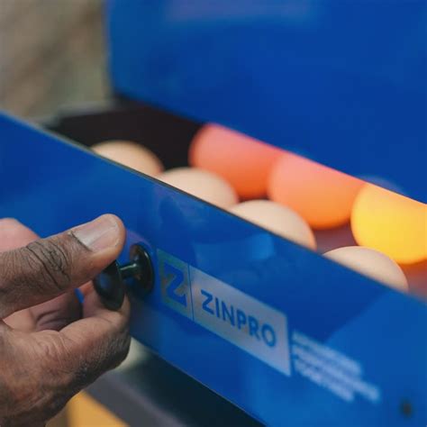 Video Zinpro Corporation On Linkedin See The Full Story Of Eggshell Translucency