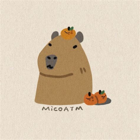 150 Avatar Capybara Cute Vô Tri Thịnh Hành Nhất Hiện Nay