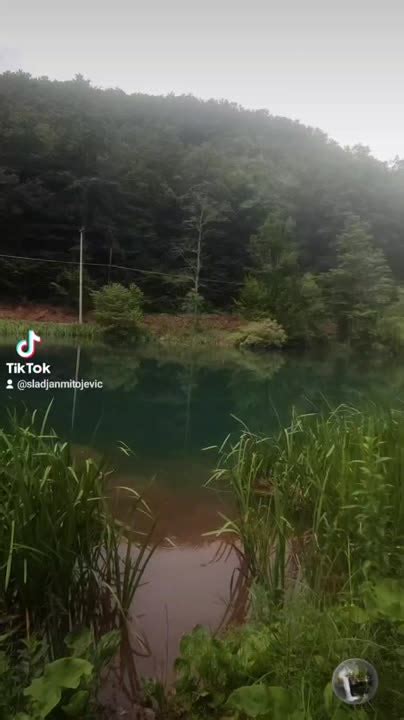 Sladjan Mitojevic On Linkedin Releasemanagement