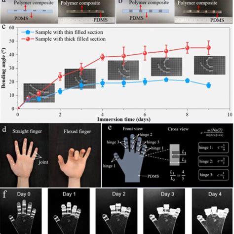 Fabrication And Shape Morphing Of Pdms Structures With Fully Embedded Download Scientific