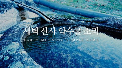 [asmr] 10분만 들으면 마음이 편안해지는 약수물 소리 I 새벽 사찰 I 물소리 I 수면유도 I 깊은 몰임감 I