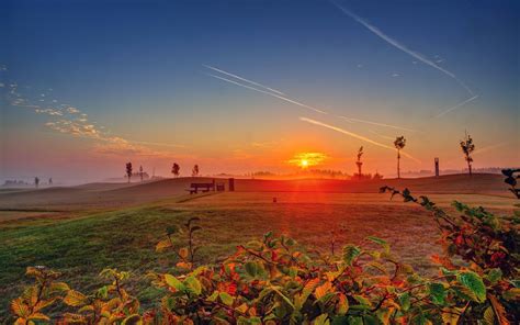 2560x1700 Resolution Grass Field Dawn Chromebook Pixel Wallpaper