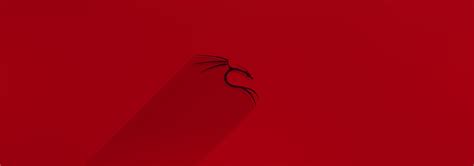 Kali Linux To Default To Non Root User With 2020 1 Release