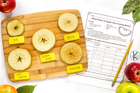 🍏 Apple Browning Science Experiment With Free Oxidation Worksheet
