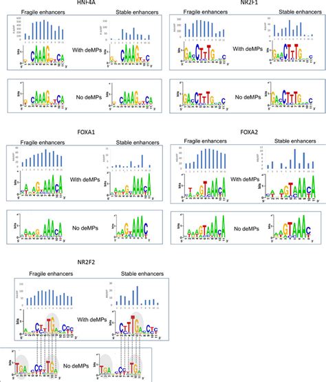 multiple tfs have two variants of binding sites prone and impervious to