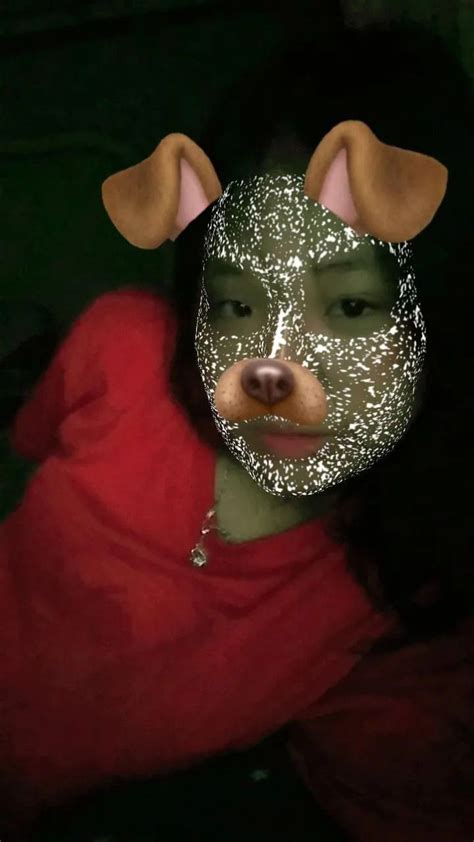 Agnass Carnival Face Paint Face Paint Painting