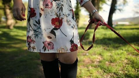 510 Beautiful Woman On A Leash Stock Videos And Royalty Free Footage