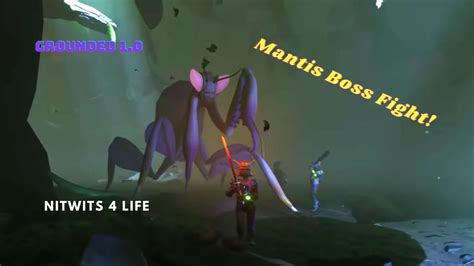 Mantis Armor Set Grounded At William Woodard Blog