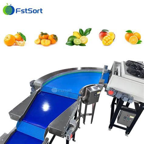 Mango Sorting And Grading Solutions Fruit Sorting Machine With Focus On