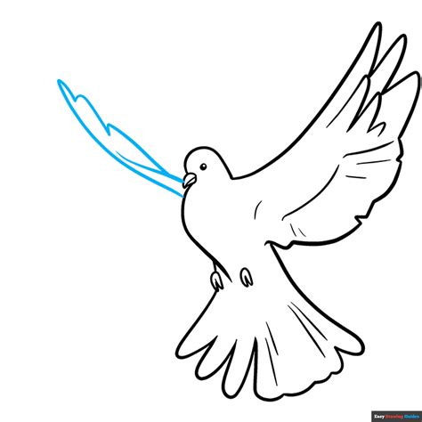 Easy Dove Drawings