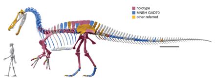 Suchomimus Wikipedia