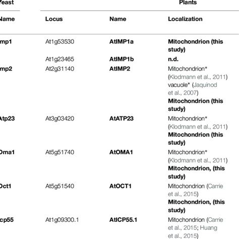 Nomenclature Localization And Functional Complementation In Yeast Download Table
