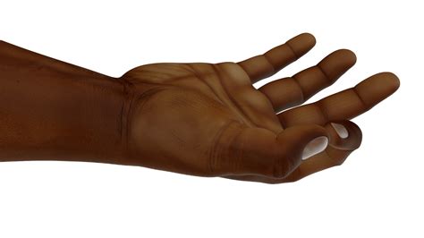 3d Dark Skinned Male Hand Ok Pose Model Turbosquid 2195958