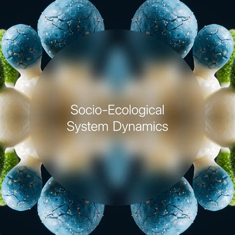 Socio Ecological System Dynamics → Term