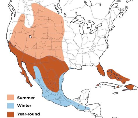 6 Owl Species That Live In Louisiana 2026 Bird Watching Hq