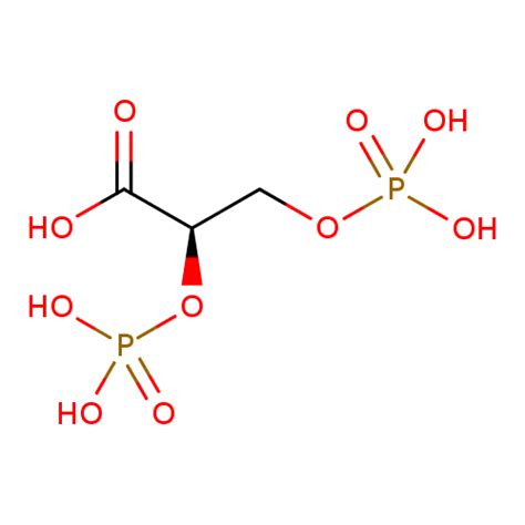 Glycolysis Gluconeogenesis Yeast Metabolome Database