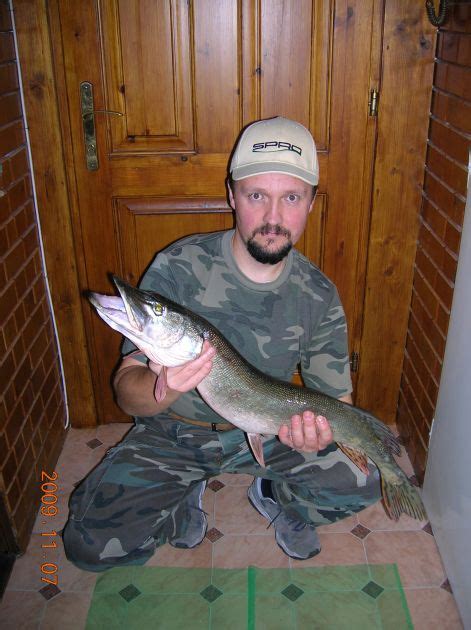 Ragadozó Halas Képek