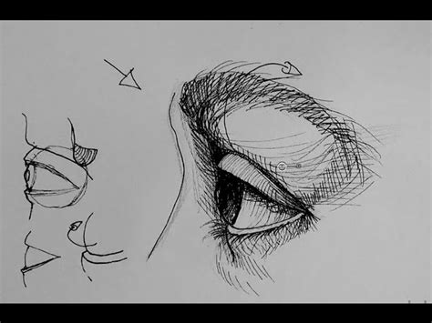Eye Profile Drawing Drawing The Eye Front View Step By Step By Cuong