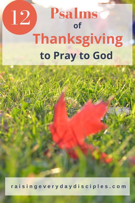 Psalms Of Thanksgiving To God Raising Everyday Disciples Psalm Of