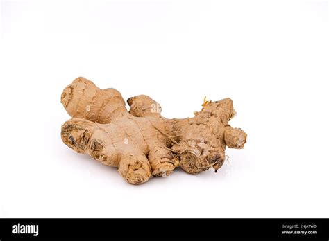 A Ginger Tuber From Organic Farming Cut Out In Front Of White