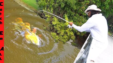 Fish House Natural Bridge At Bobby Skinner Blog