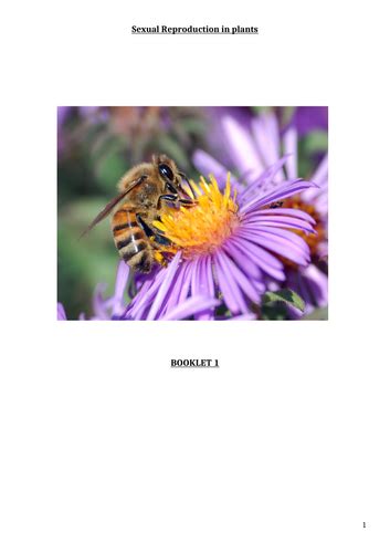 A2 Wjec Sexual Reproduction In Plants Teaching Resources