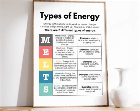 Producersconsumersdecomposers Anchor Chart For Elementary Middle And