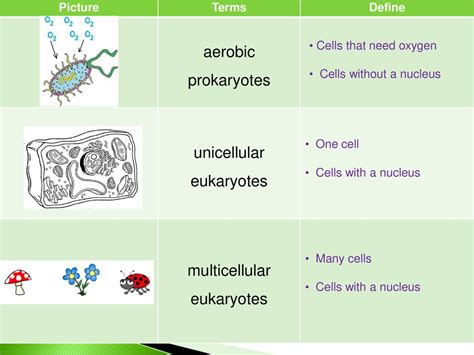 Packet 9 Evolution Ppt Download