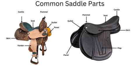 How To Measure English Western And Endurance Saddles