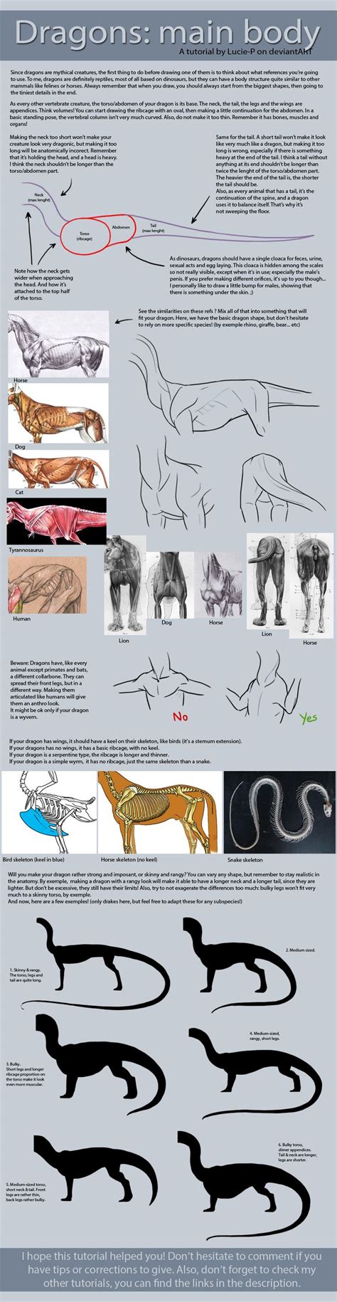 Dragon Tutorial Main Body By Lucie P On Deviantart Dragon Anatomy