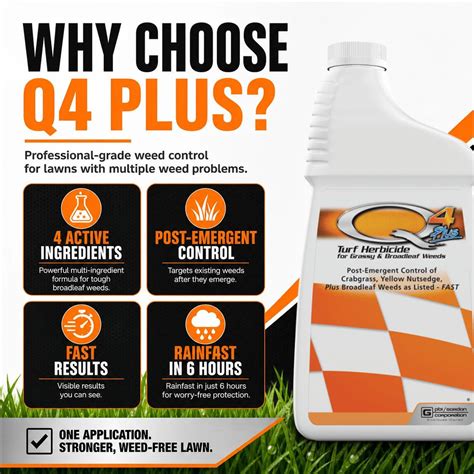 Q4 Plus Herbicide Crabgrass Nutsedge And Broadleaf Weed Control