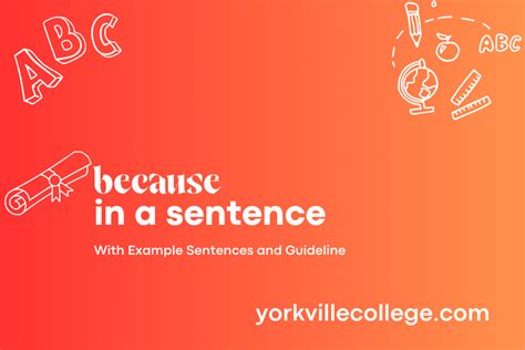 How To Use Because In A Sentence Easy Examples