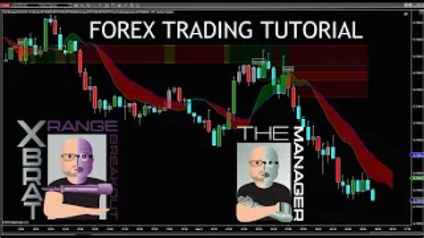 NinjaTrader Forex Trading Tutorial Trading Breakouts Global Trading Software