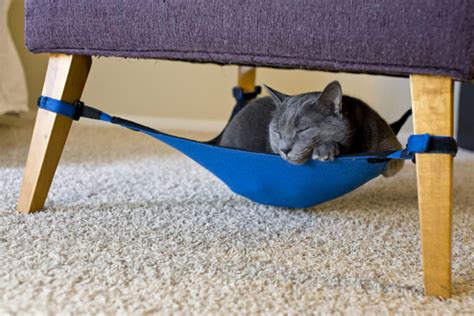 Аксессуары для питомцев: гамак Cat Crib для вашего кота