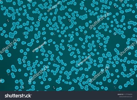 Circle Bacteria 27 858 รายการ ภาพ ภาพสต็อกและเวกเตอร์ Shutterstock