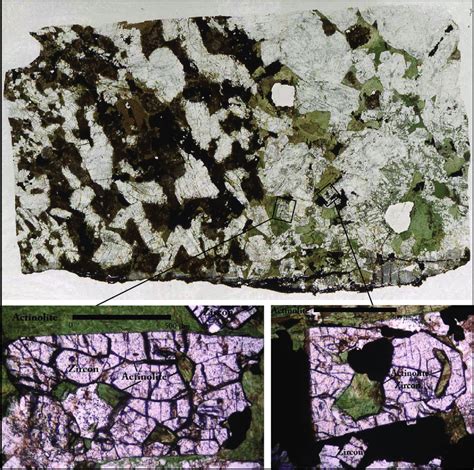 Thin Section Scan In Plain Polarized Light Of Sample 172 18b From The