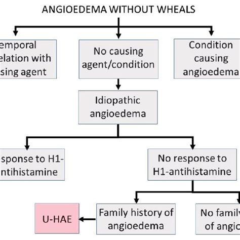 Algorithm For The Diagnosis Of Idiopathic Angiooedema Starting From
