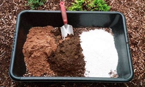 Perlite What It Is And How To Use It Right Epic Gardening