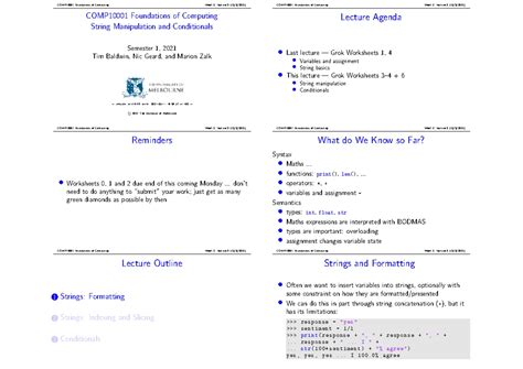 Python Programming Cs101 Intro To Variables And Strings Lecture