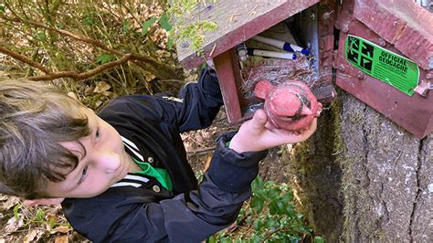 The Best Tricks To Succeed In Geocaching