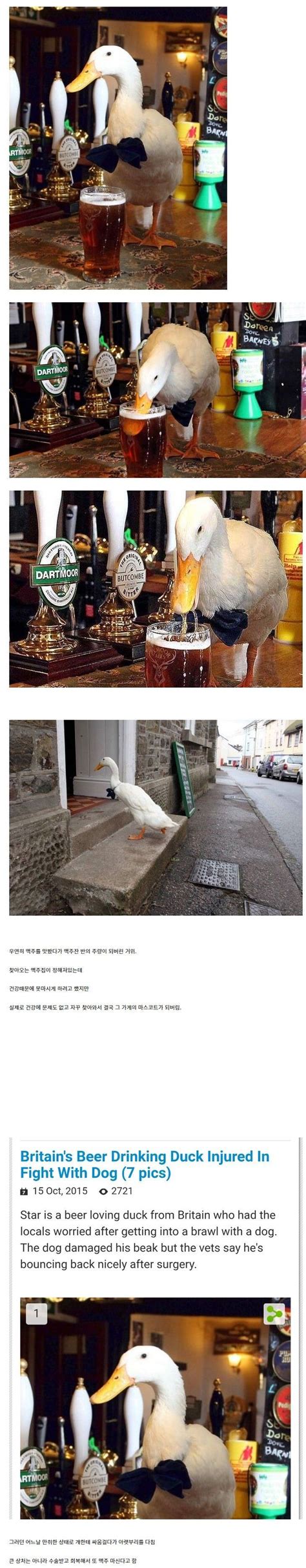 자연산 푸아그라