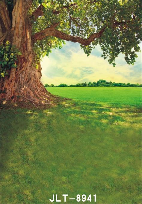 Begron Pohon 57 Koleksi Gambar