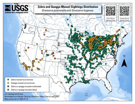 Alberta Fighting Tiny Invasive Species With Mandatory Watercraft