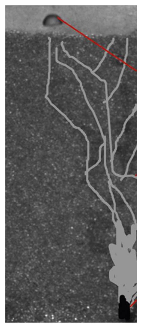 Typical Bubble Behaviors Within Particle Beds 31 A Bubble Download Scientific Diagram