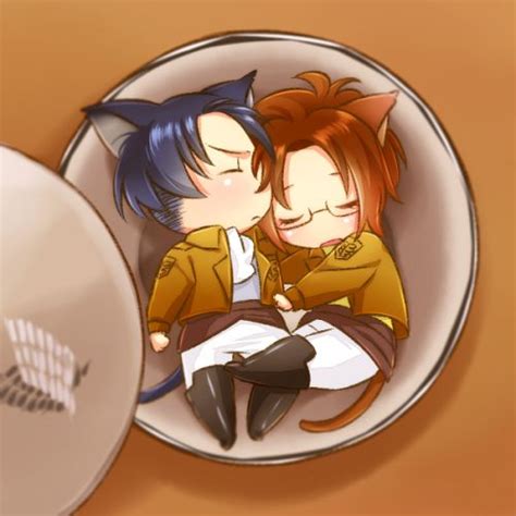 Neko Levi And Neko Hanji Aot Levihan Attack On Titan Levi Attack On Titan