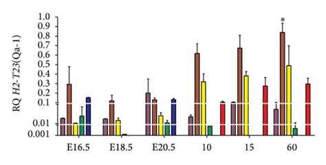 Analysis Of Mhc Class Ib And Aire Transcripts In Different Tissues Of Download Scientific