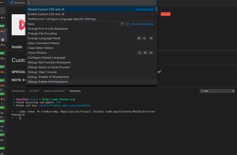 Triggered Reload Custom Css And JS Without Any UI Notifications Issue Be Invis Vscode