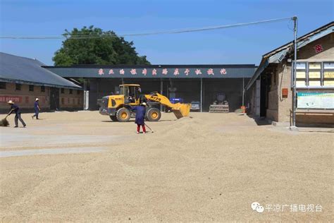 中省媒体看平凉 甘肃灵台： 一优四化”推动粮食产业全链条发展