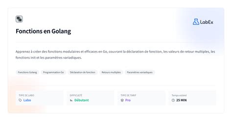 Fonctions En Golang Labex
