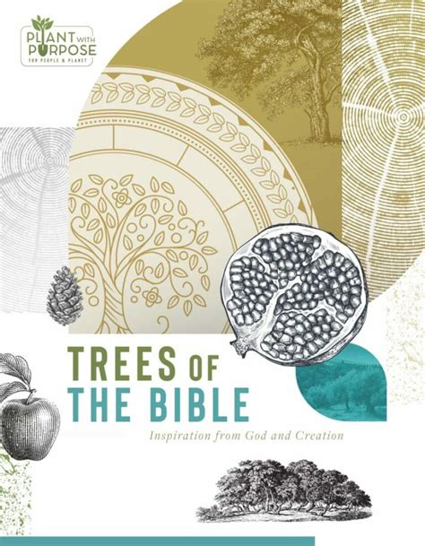 Trees Of The Bible Plant With Purpose